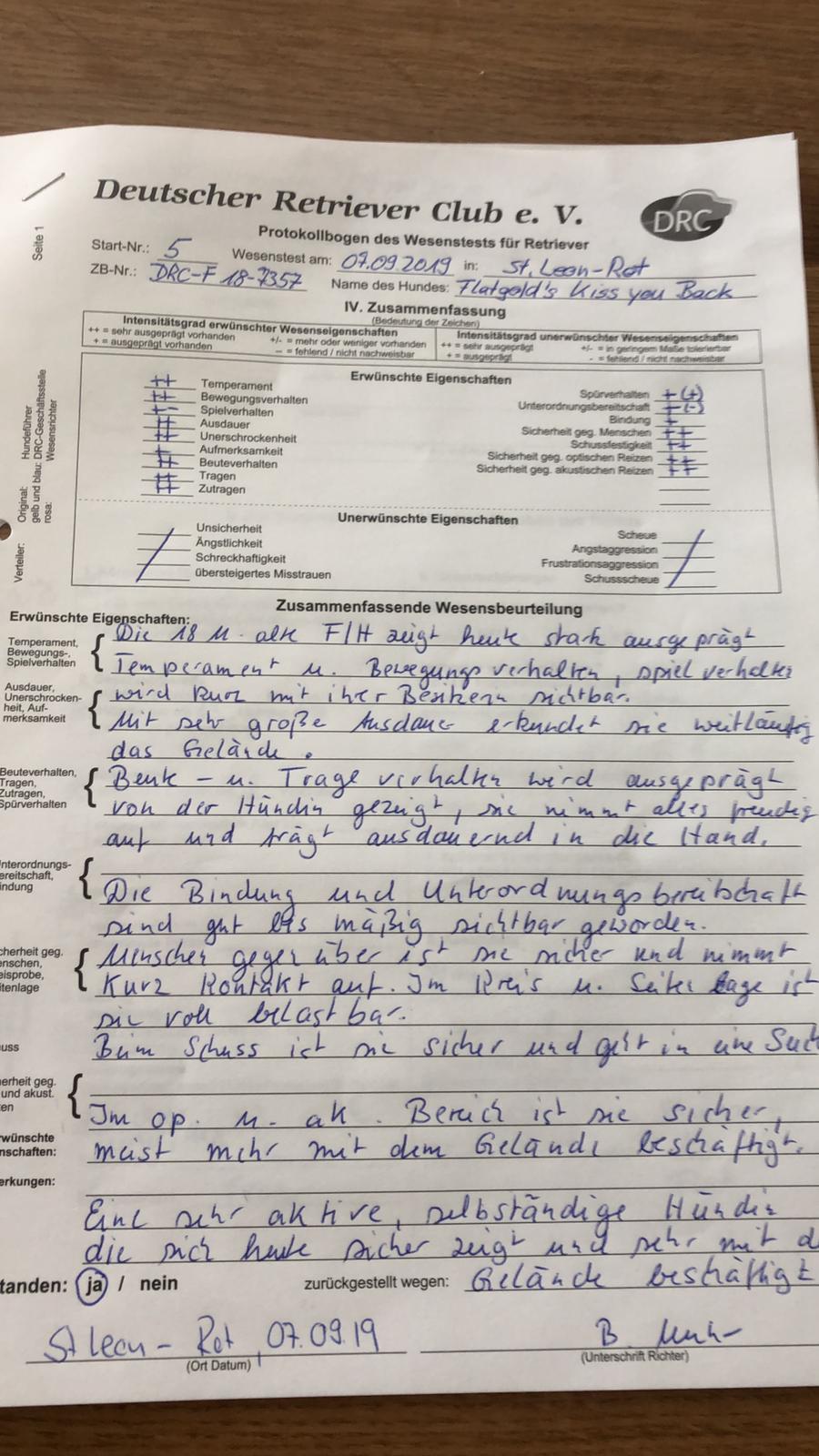 Wesenstest Izzy und Nemo – FCI Kennel Flatgold’s – Flatcoated Retriever